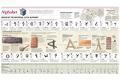 'Infographic Explaining the Origin and Evolution of the Alphabet ...