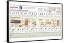 'Infographic Explaining the Origin and Evolution of the Alphabet ...