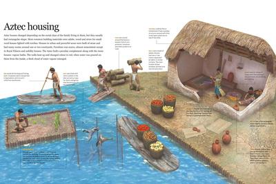 'Infographic of Daily Life of Aztecs and their Housing' Posters ...
