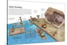 'Infographic of Daily Life of Aztecs and their Housing' Posters ...