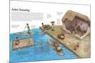 Infographic of Daily Life of Aztecs and their Housing | AllPosters.com