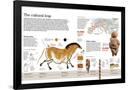 'Infographic of Paleolithic Art, the First Expression of Human Culture ...