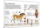 'Infographic of Paleolithic Art, the First Expression of Human Culture ...