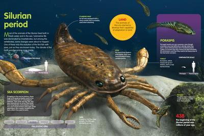 'Infographic of the Animals of the Ocean During the Silurian Period ...