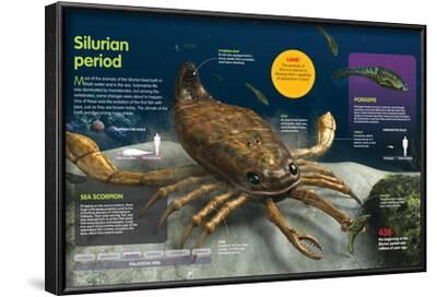 'Infographic of the Animals of the Ocean During the Silurian Period ...