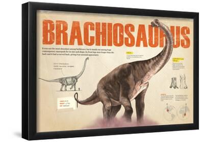 'Infographic of the Brachiosaurus. Herbivorous Dinosaur from the ...