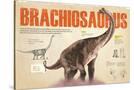 Infographic of the Brachiosaurus. Herbivorous Dinosaur from the ...