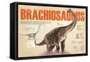 Infographic of the Brachiosaurus. Herbivorous Dinosaur from the ...