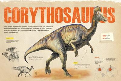 'Infographic of the Corythosaurus, a Herbivorous Dinosaur from the ...