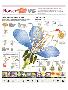 'Infographic of the Flower Parts and their Classification. Pollination ...