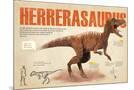 'Infographic of the Herrerasaurus, a Carnivorous Dinosaur from the ...