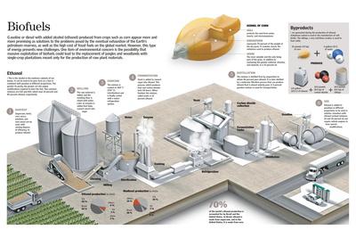'Infographic of the Process of Obtaining Ethanol from the Cultivation ...
