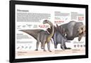 Infographic of the Species of Dinosaurs During the Triassic, Jurassic ...