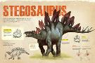 Infographic of the Stegosaurus, a Herbivorius Dinosaur from the ...