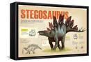Infographic of the Stegosaurus, a Herbivorius Dinosaur from the ...
