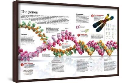 'Infographic of the Structure of Dna and the Mechanism of Genetic ...
