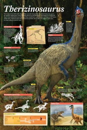 'Infographic of the Therizinosaurus, a Theropod Dinosaur at Late ...