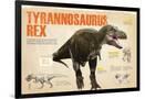 'Infographic of the Tyrannosaurus Rex, a Carnivorous Dinosaur from the ...