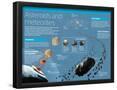 'Infographic on Asteroids and Meteorites: What They Are, Types, How a ...