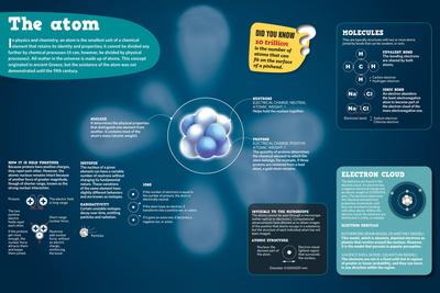 'Infographic on the Atom and its Components' Posters | AllPosters.com