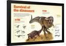 'Infographic Showing the Physical Characteristics That Allowed ...