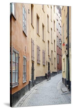 'Blind Alley' Stretched Canvas Print - Irene Suchocki | AllPosters.com