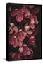 Powerful Petals Stretched Canvas Print - Irene Suchocki | AllPosters.com