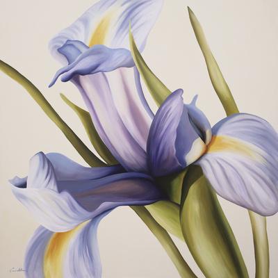 'Iris Wind' Giclee Print - Carolina Alotus | AllPosters.com