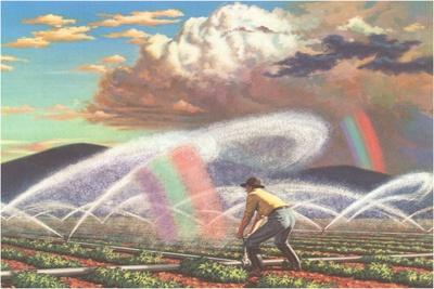 'Irrigation Illustration' Prints | AllPosters.com
