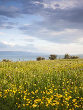 'Israel, the Galilee, Tiberias, Sea of Galilee-Lake Tiberias ...