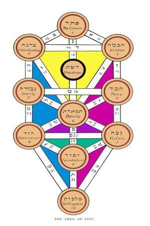 'The Tree of Life of the Jewish Caballa' Photographic Print - J.f.c ...