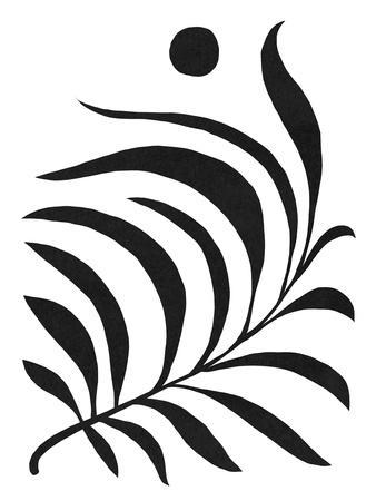 Matisse Fern II Prints - Jacob Green | AllPosters.com