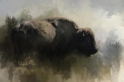 'Abstract American Bison' Giclee Print - Jai Johnson | AllPosters.com