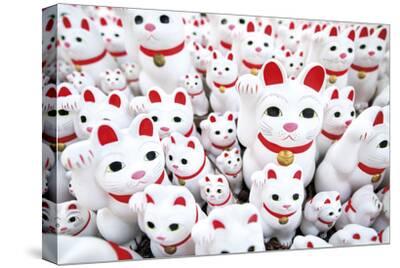 Maneki-Neko Stretched Canvas Print - Jan Christopher Becke | AllPosters.com