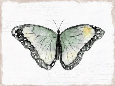 'Vintage Flutter III' Prints - Janet Tava | AllPosters.com