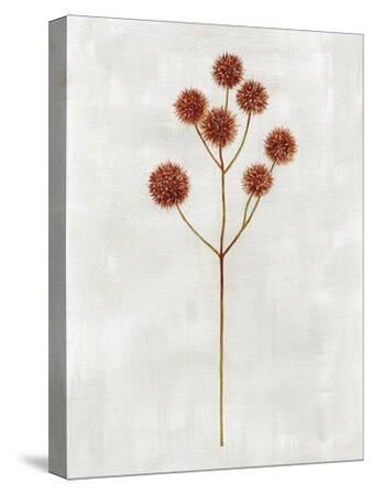 'Botanical Set - Thistle' Stretched Canvas Print - Janie Howe ...