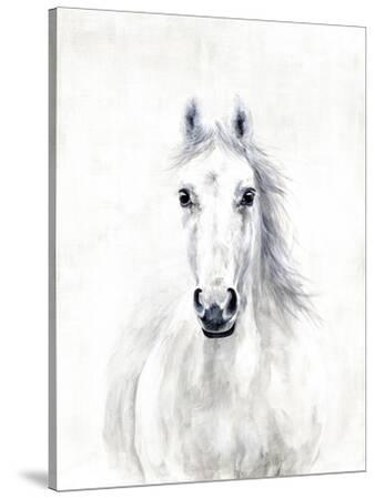 'Equine Portrait' Stretched Canvas Print - Janie Howe | AllPosters.com