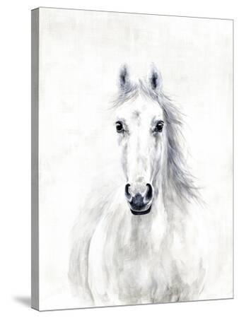 'Equine Portrait' Stretched Canvas Print - Janie Howe | AllPosters.com