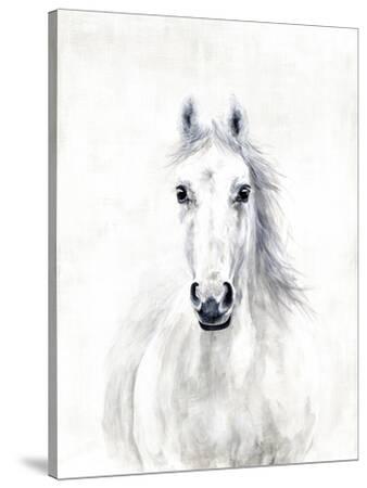 'Equine Portrait' Stretched Canvas Print - Janie Howe | AllPosters.com