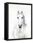'Equine Portrait' Stretched Canvas Print - Janie Howe | AllPosters.com