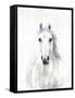 'Equine Portrait' Stretched Canvas Print - Janie Howe | AllPosters.com