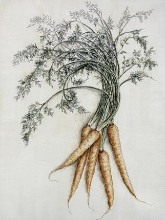 Rustic Table - Carrot Giclee Print - Janie Howe | AllPosters.com