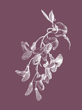 'Inflorescence Purple Flower' Posters - Jasmine Woods | AllPosters.com