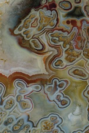 'Cepheus' Giclee Print - Jason Jade | AllPosters.com