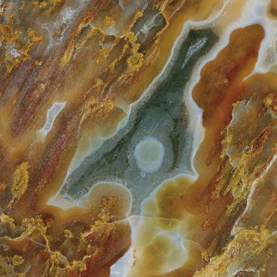 'Leporis' Giclee Print - Jason Jade | AllPosters.com