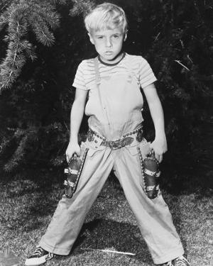 Jay North Posters, Prints, Paintings & Wall Art | AllPosters.com