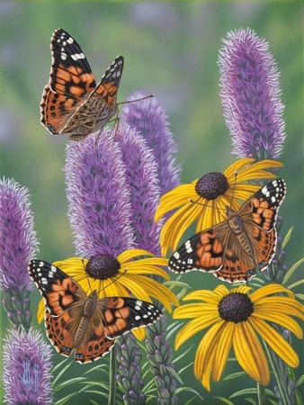 Painted Ladies Print - Jeff Hoff | AllPosters.com