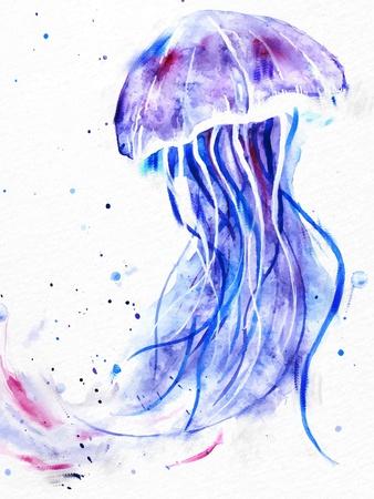 'Jelly Jelly' Posters - Kimberly Allen | AllPosters.com