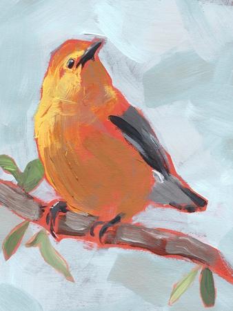 'Painted Songbird III' Poster - Jennifer Parker | AllPosters.com