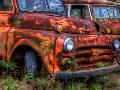 'Rusty Trucks at Old Car City, Georgia, USA' Photographic Print ...